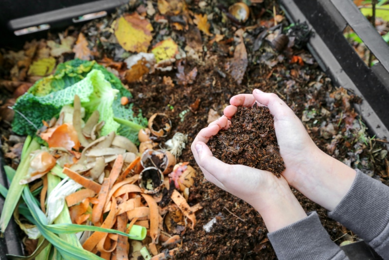 The Magic of Black Gold: Why Use Compost in Your Landscape? | Cerullo ...